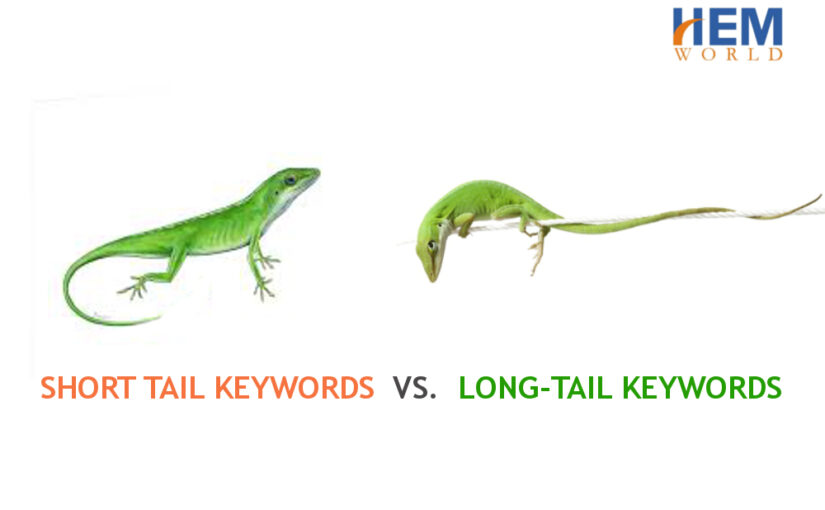Short tail keywords vs. Long-tail keywords in Search Engine Optimization